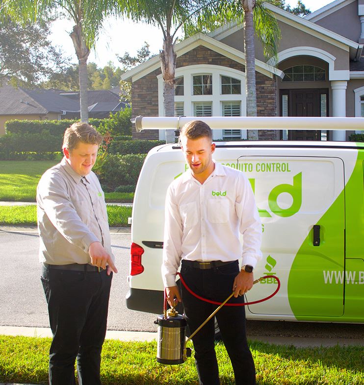 Charleston Pest Control - Bold Servicing