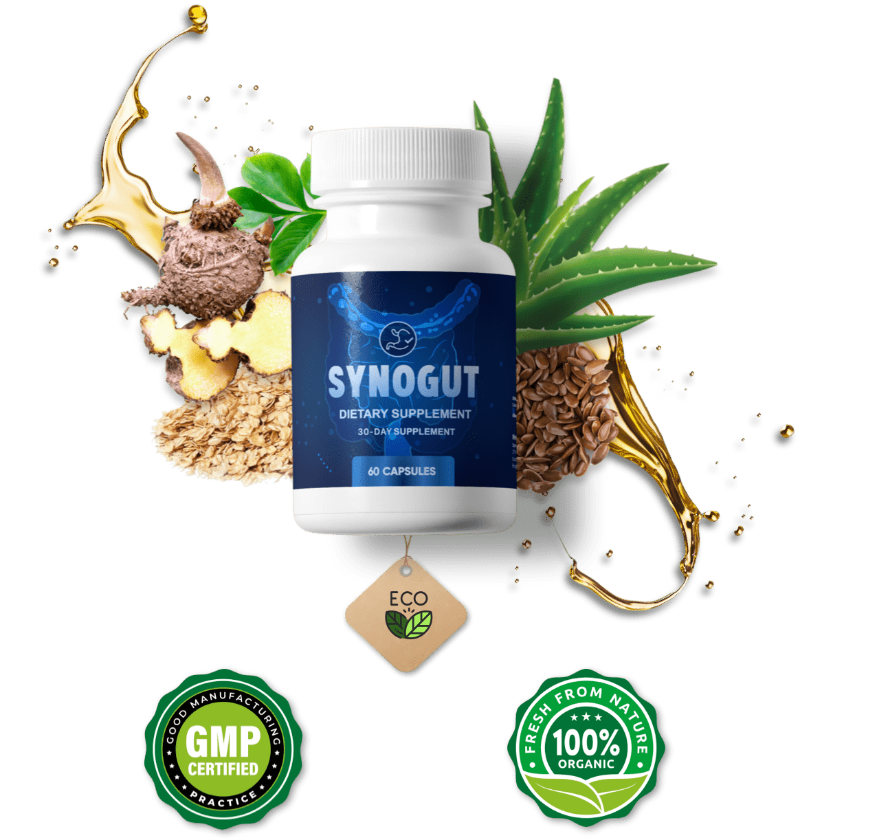 SynoGut™ | Official Website