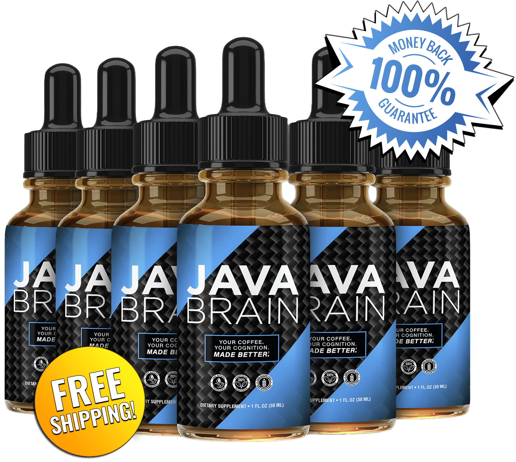 Java Brain™ | Official Website