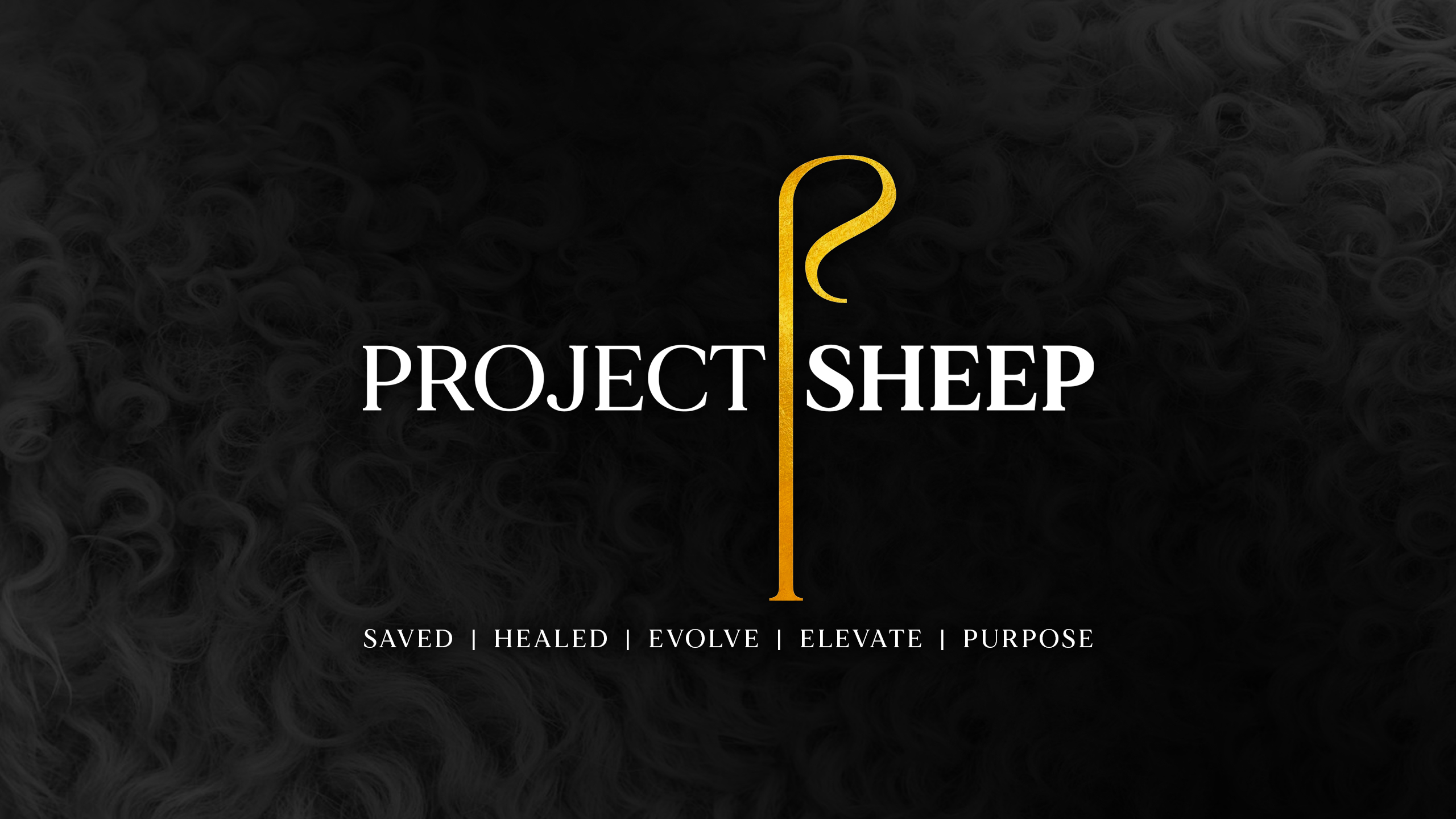 Project S H E E P Saved project-s-h-e-e-p-saved