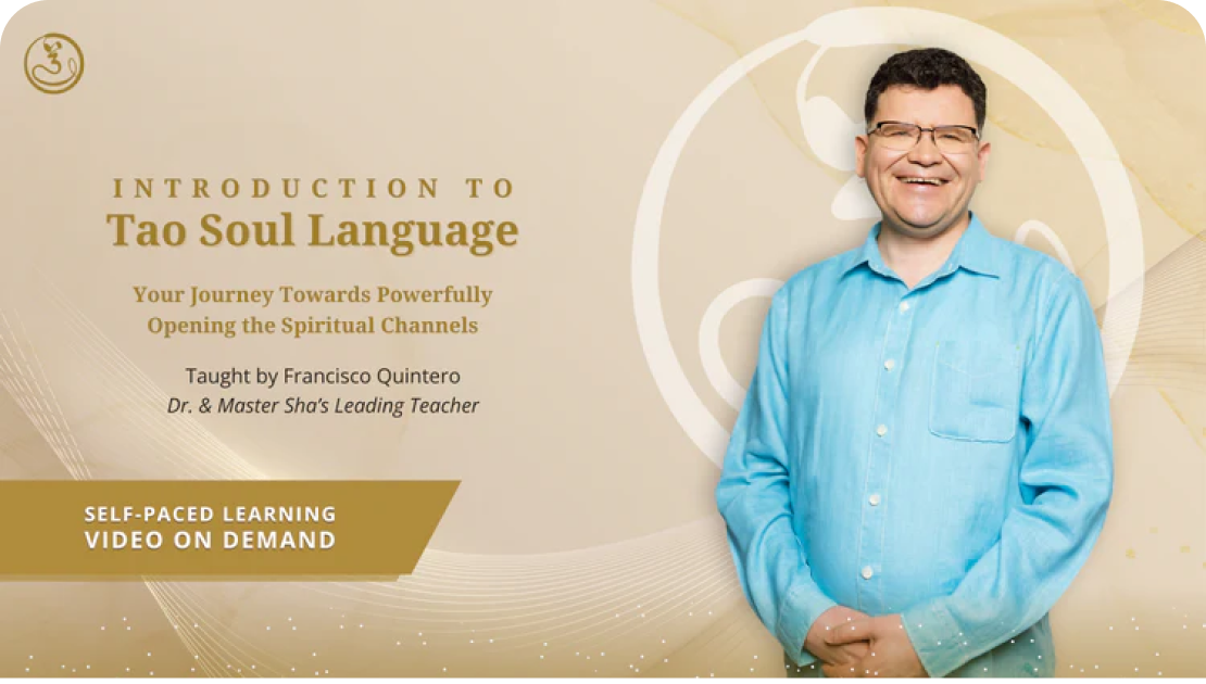 Introduction to Tao Soul Language