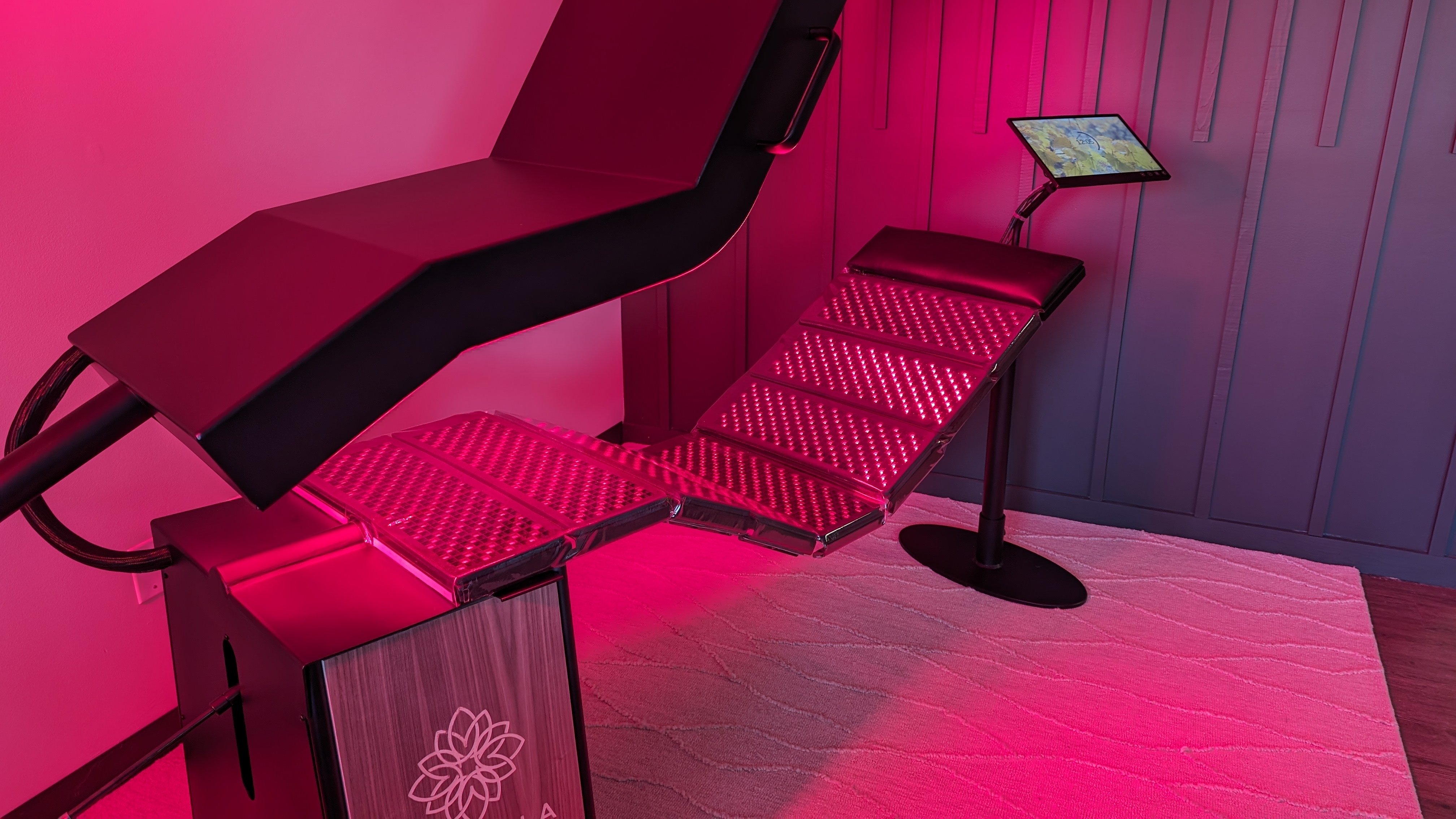 Dahlia Professional - Pinnacle Bed