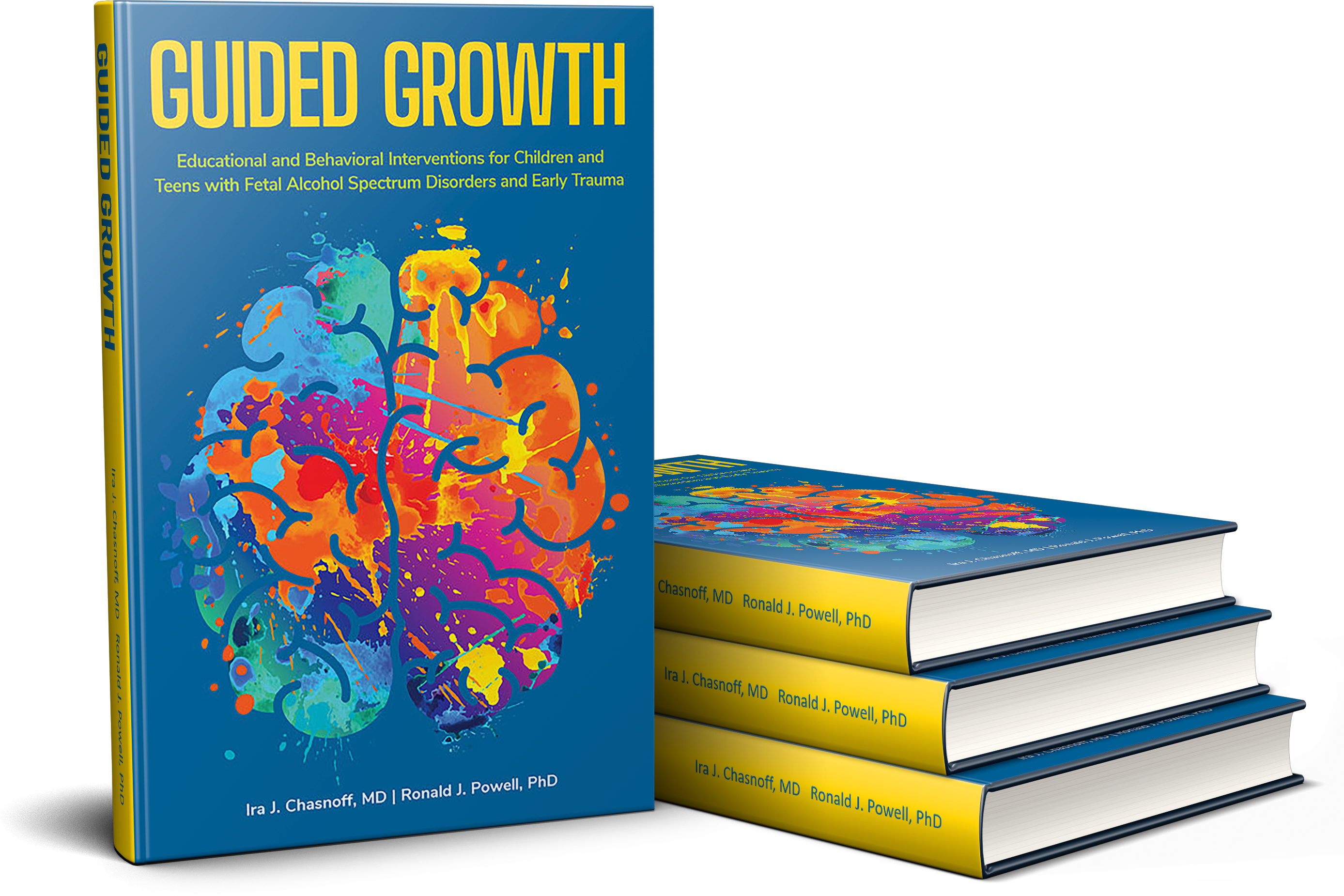 Guided Growth - The Experts Guide to Practical and Effective Strategies ...