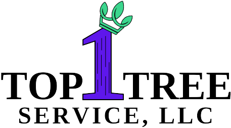 The Best Tree Services in Bucks County and Beyond | Top 1 Tree Service