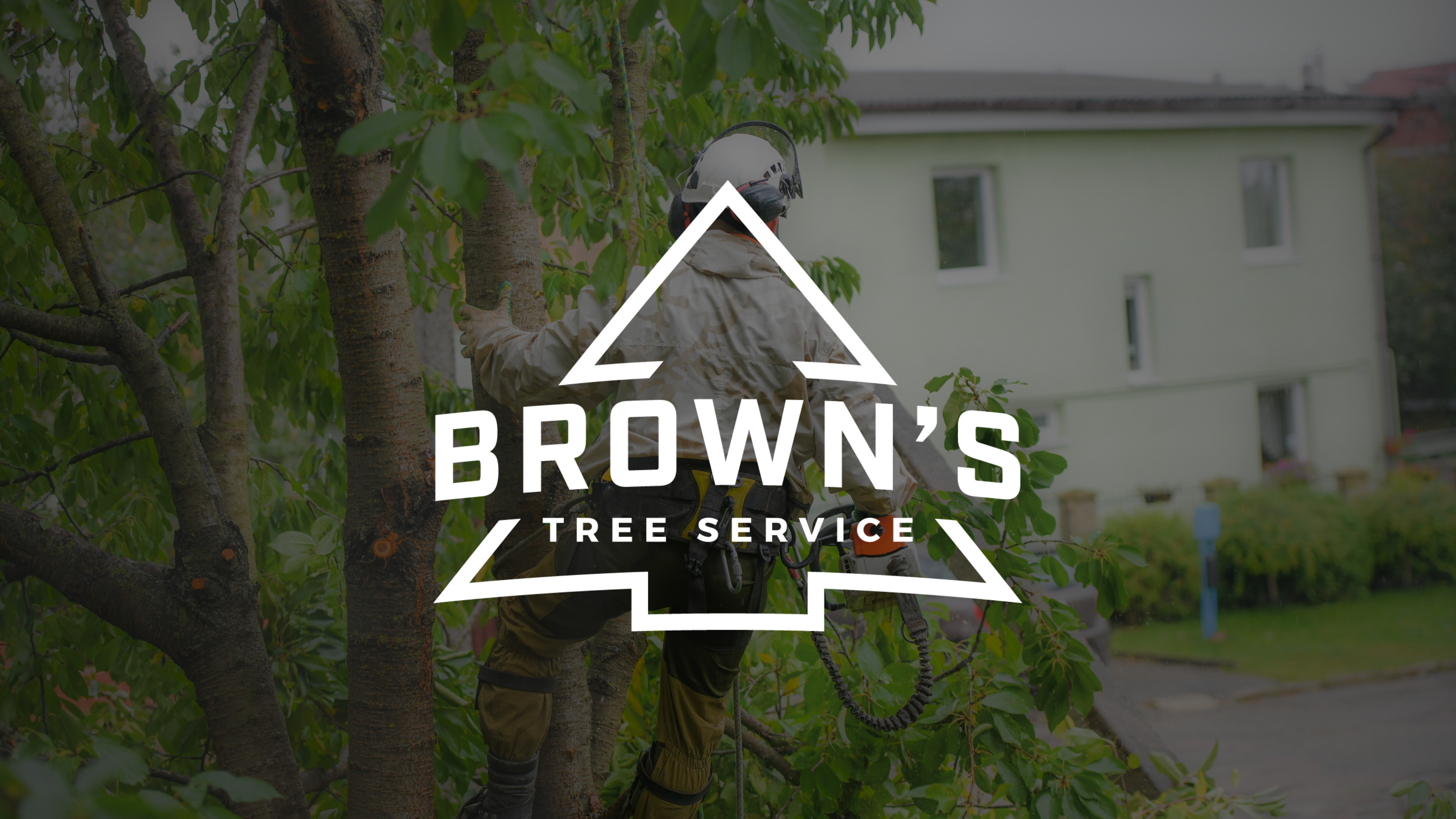 Brown's Tree Service | Your Trees, Our Expertise
