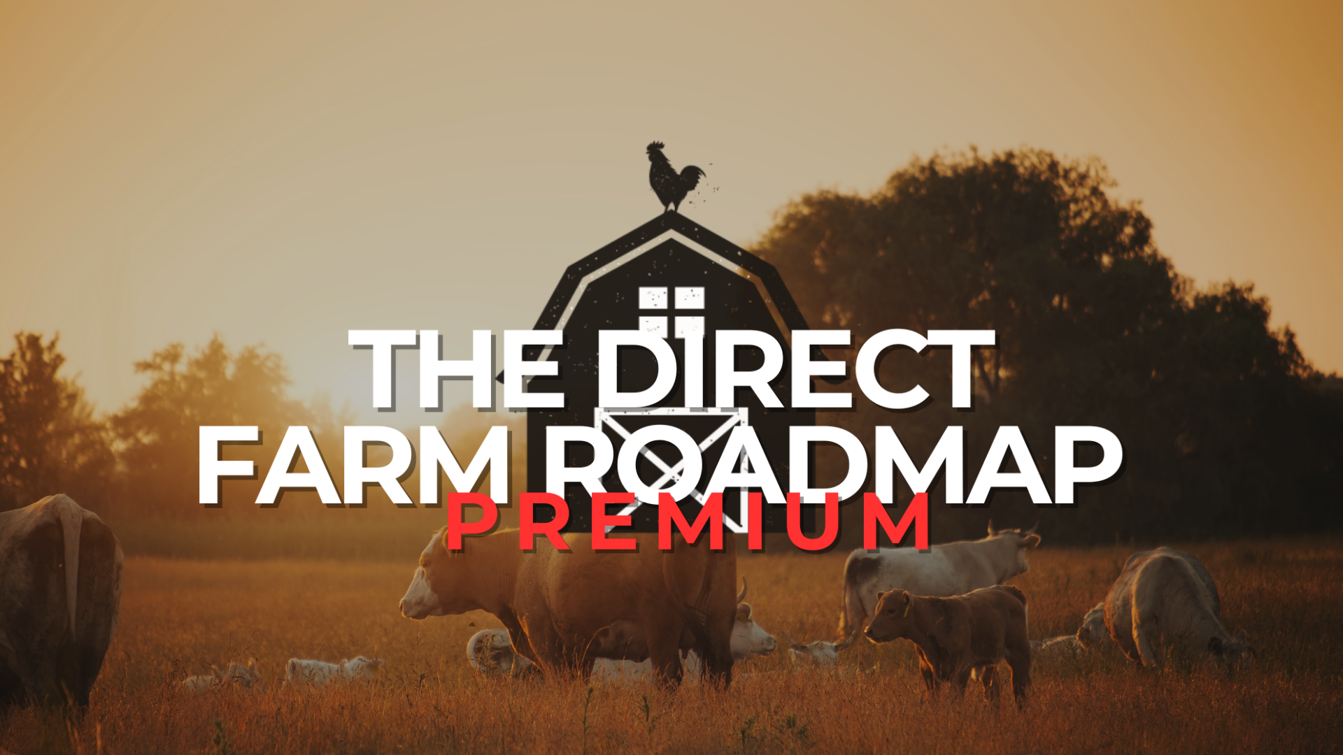 The Direct Farm Roadmap Premium Coaching Program