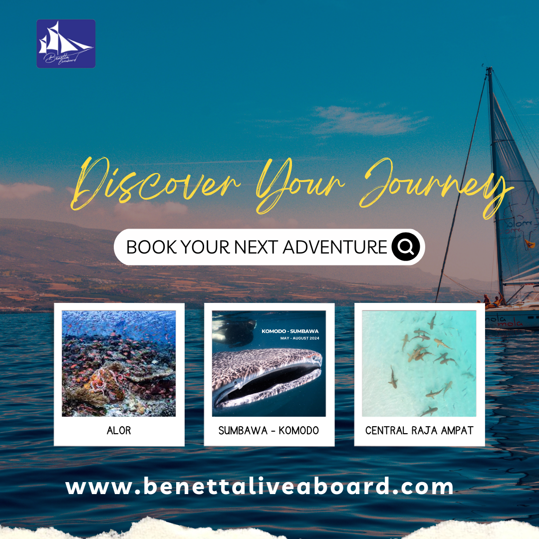 Benetta Liveaboard | Premier Indonesia Diving Adventures
