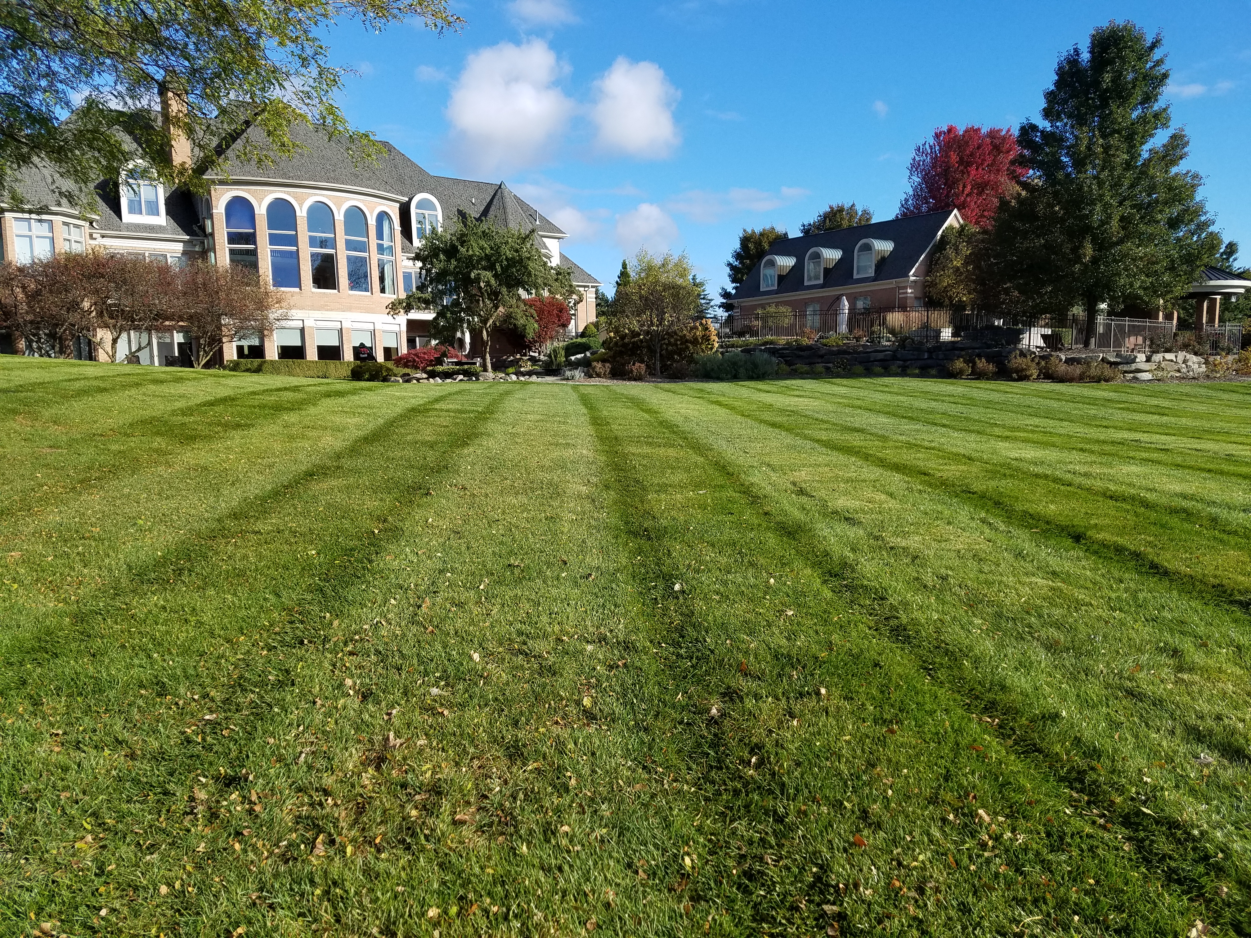 The Watkins Group | Lawn Mowing & Bush & Bed Maintenance in Winston ...