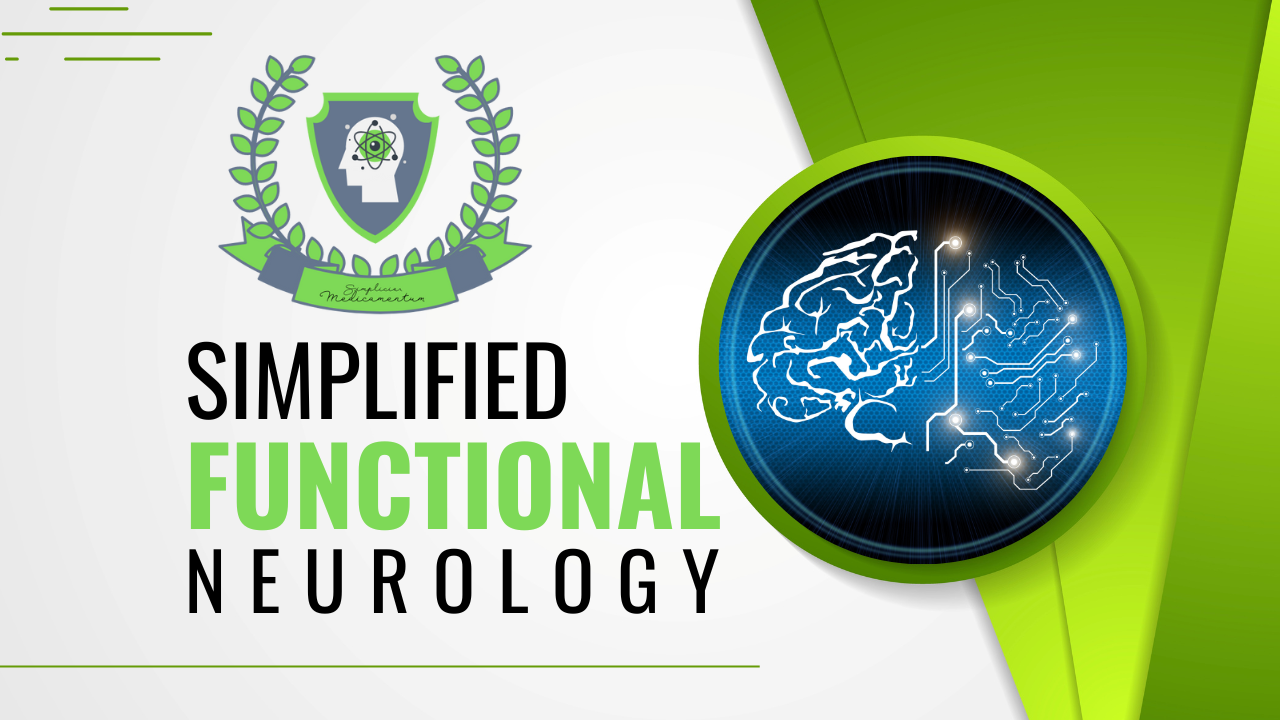 Simplified Functional Neurology