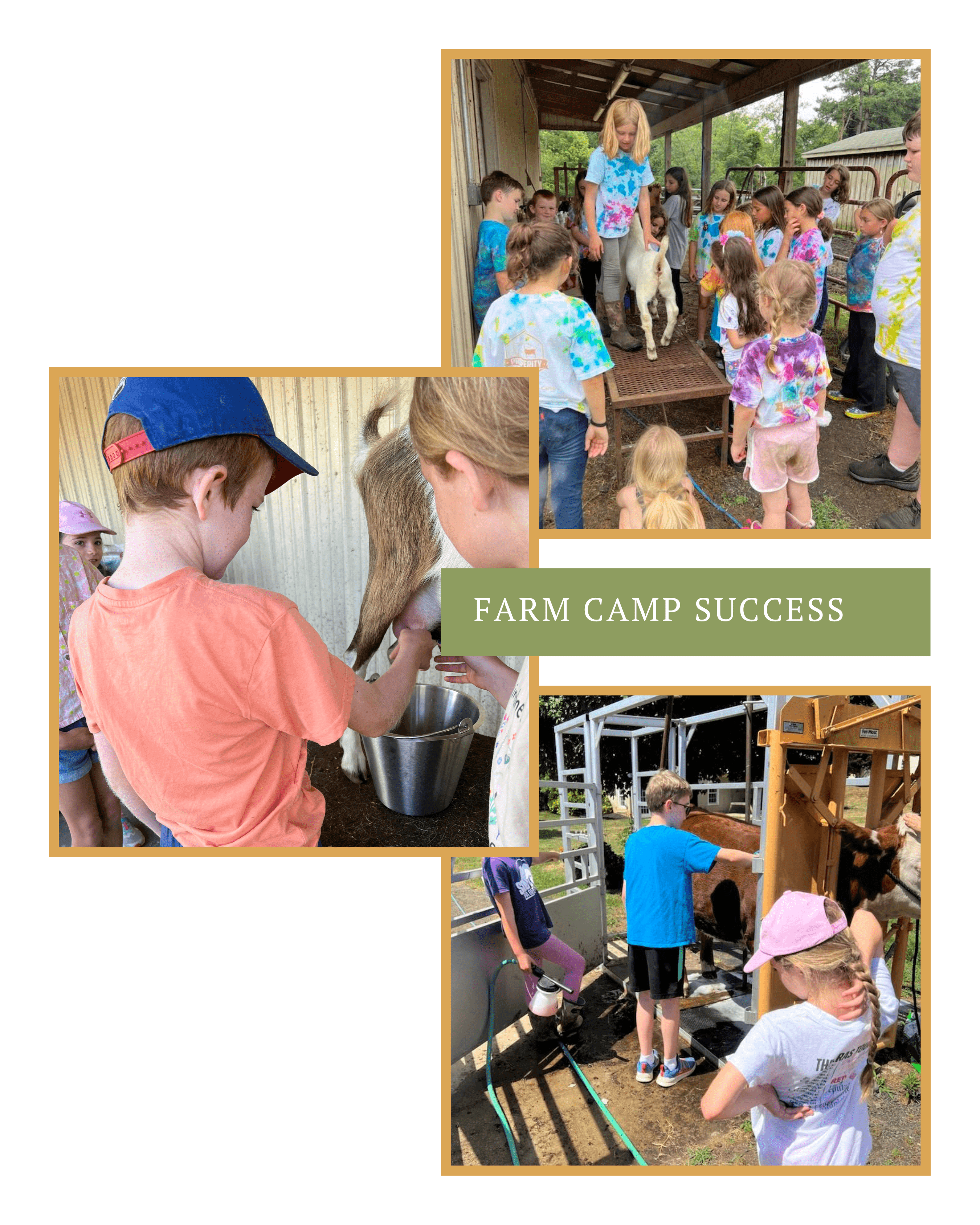 Download the Farm Camp Success Roadmap™