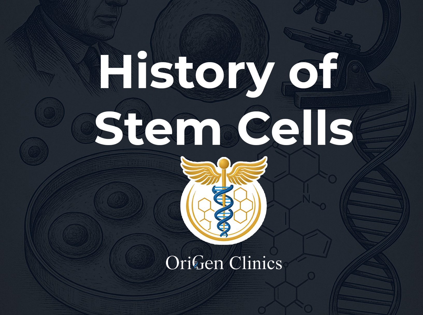 History of Stem Cells | From Discovery to Regenerative Breakthroughs
