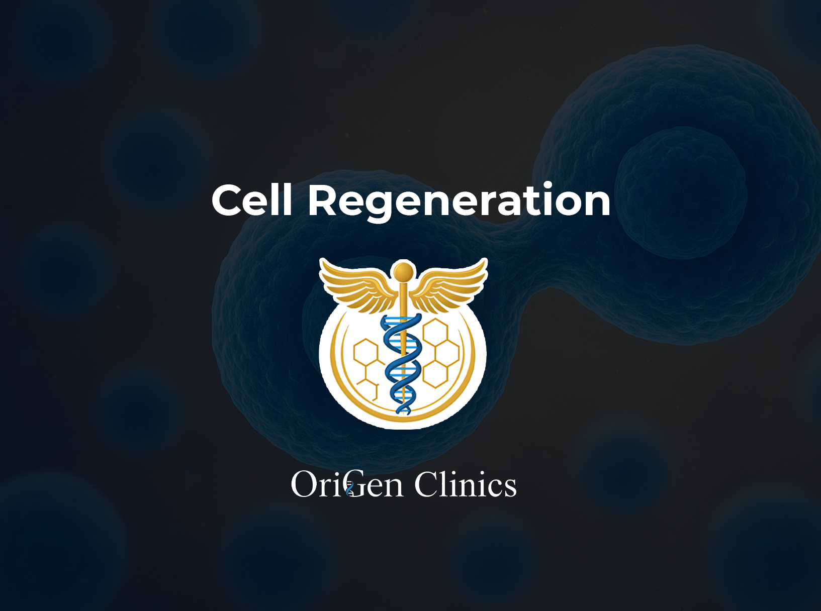 Cell Regeneration & Repair | How Stem Cells Help Healing