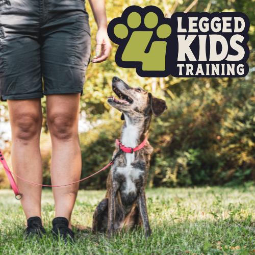 St. Louis Dog Training