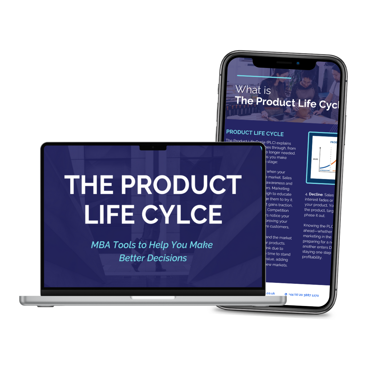 Product Life Cycle Guide: Master Each Stage for Success