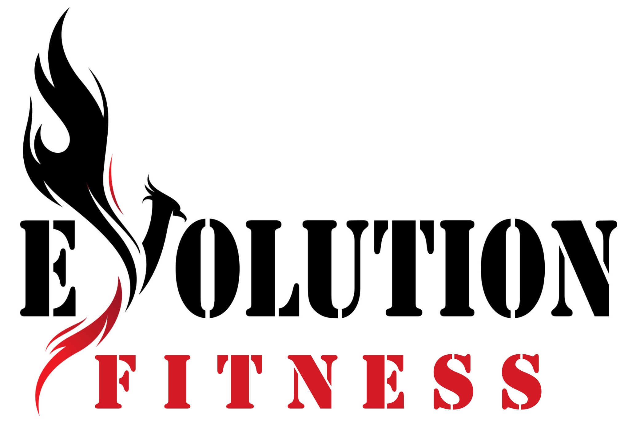 Evolution Fitness