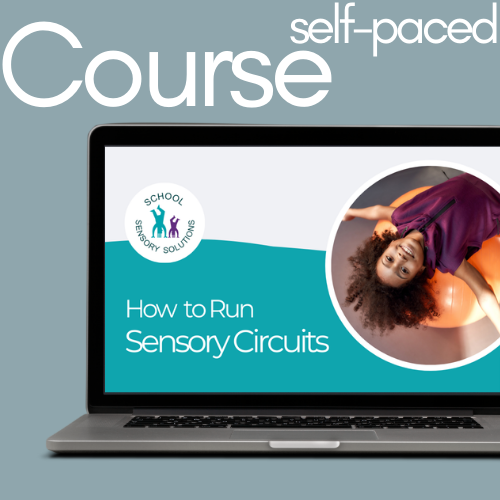 How To Run Sensory Circuits