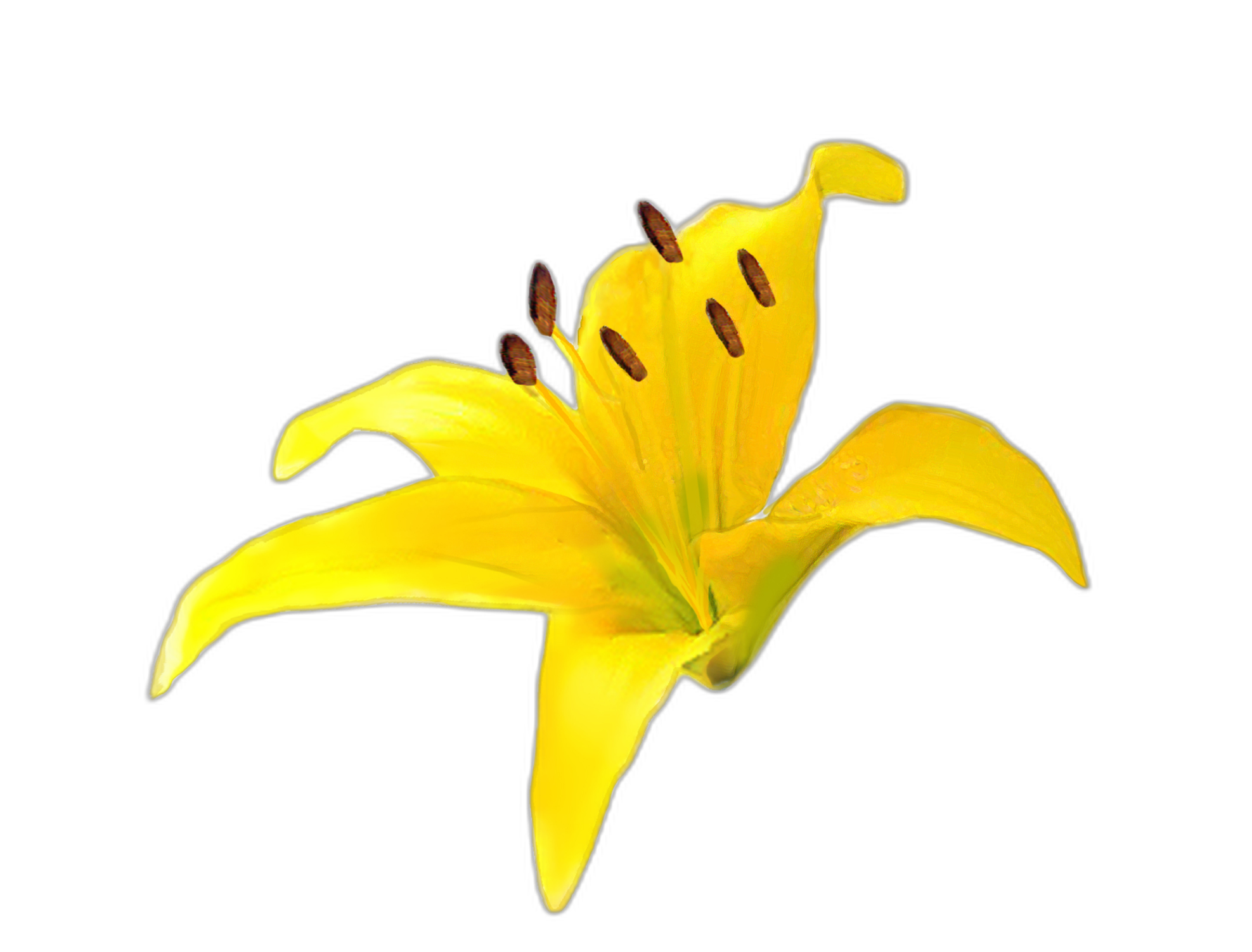 Our Team | Emanant Capital