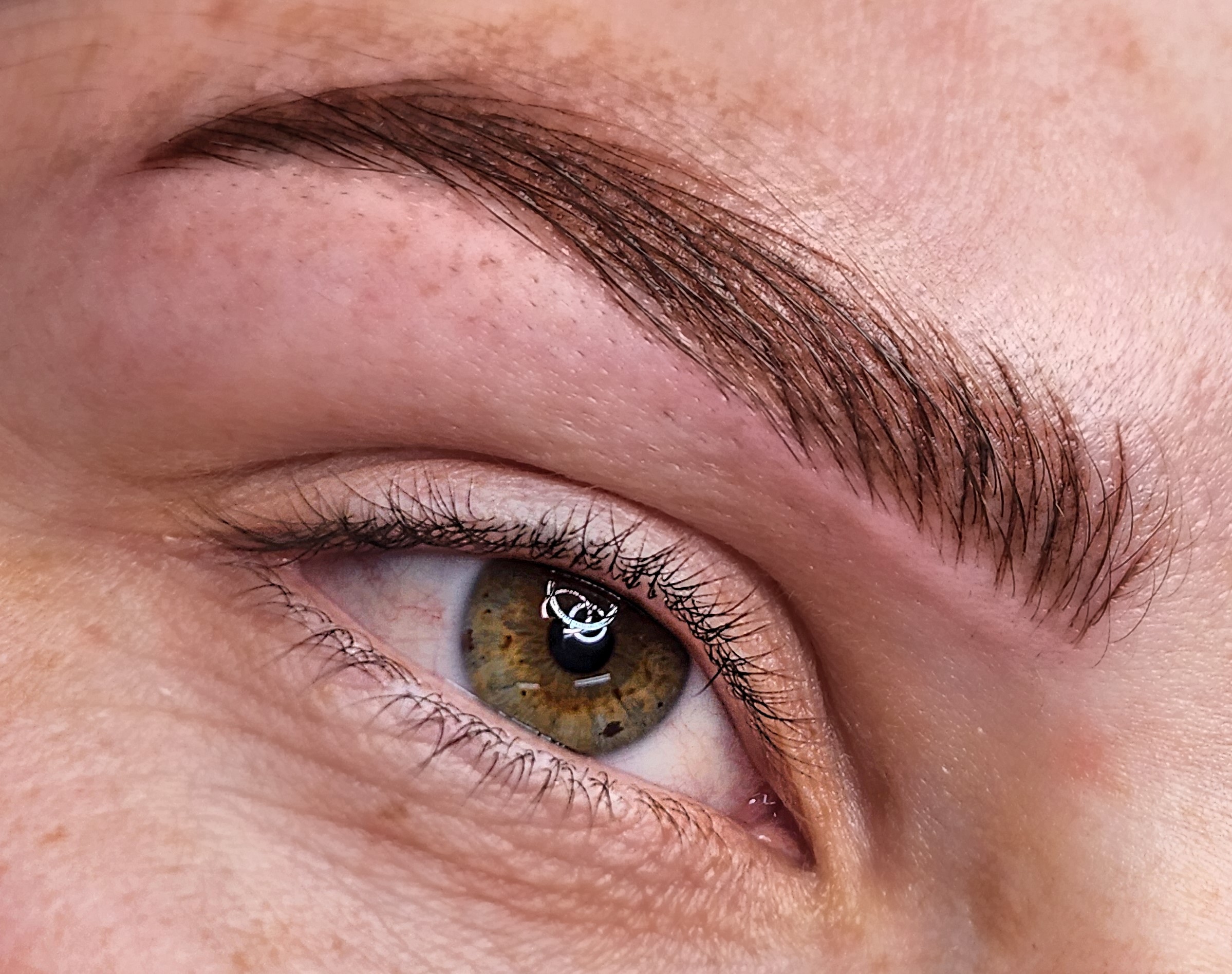 Why You'll Fall Head Over Heels for Hybrid Brows: The Secret to Lush ...