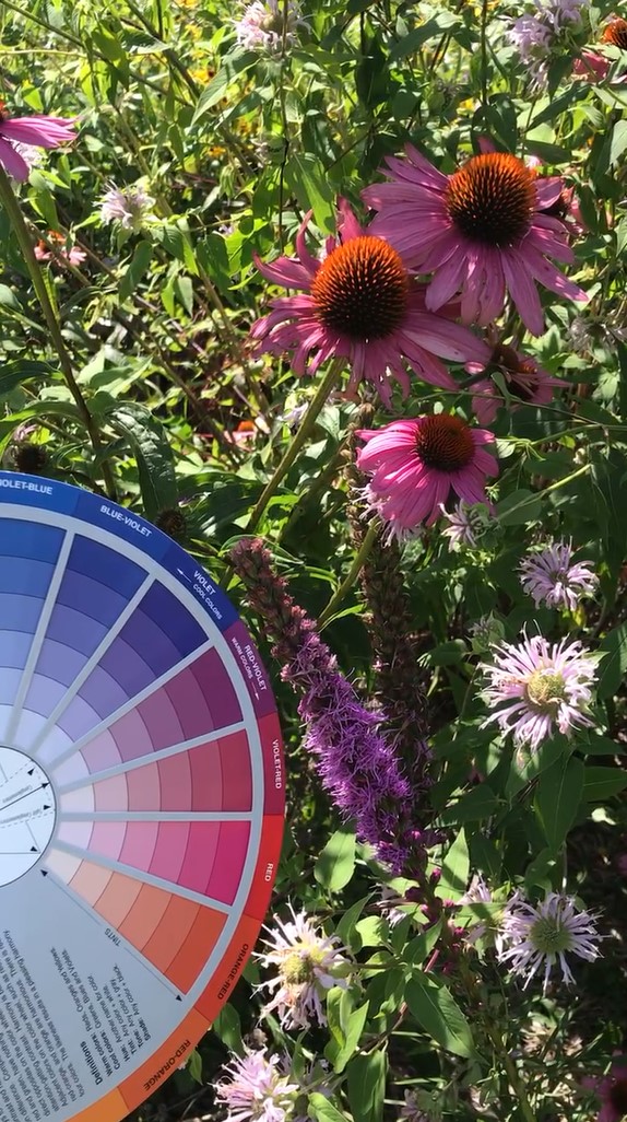 Garden Design: Color Theory for Artistic, Emotional, and Ecological Impact