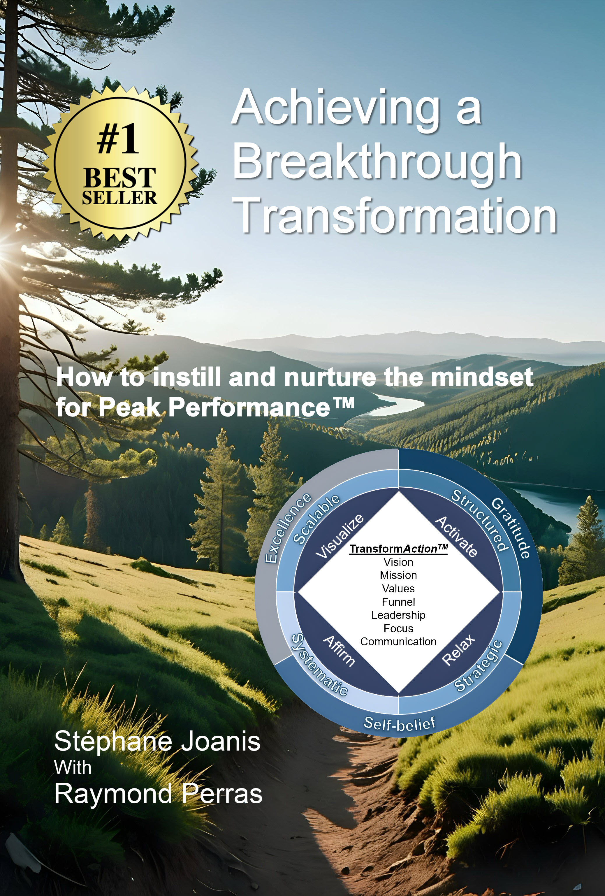 Achieving a breakthrough transformation
