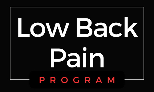 Low Back Pain Rehab Course