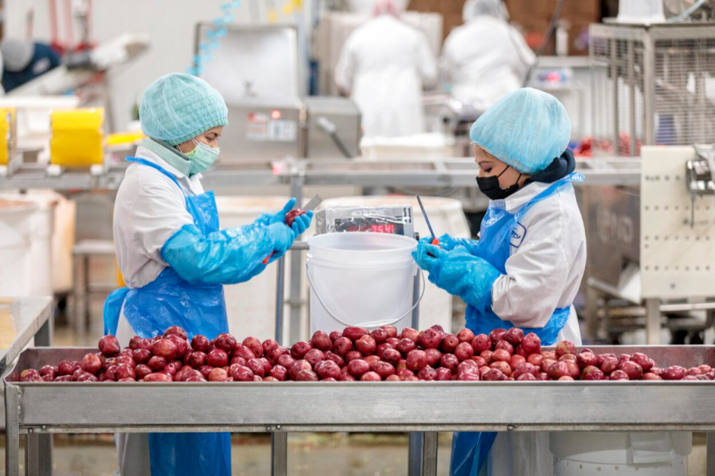 HACCP vs. ISO 22000 – Which Food Safety Standard is Right for You?