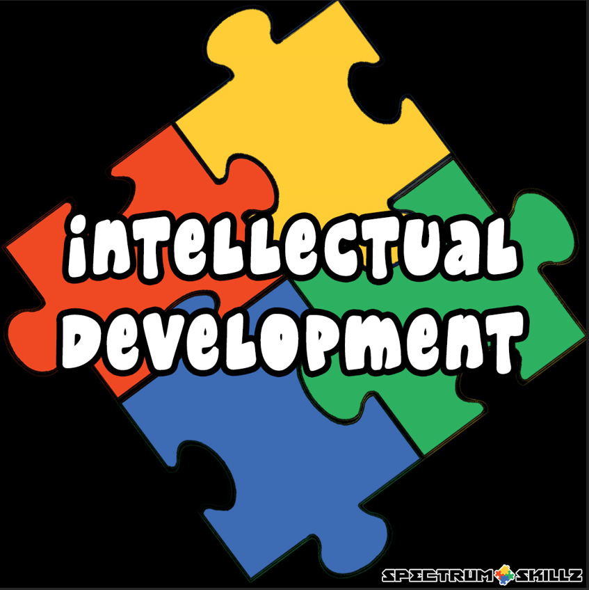 Spectrum SKILLZ Intellectual Development for Children on the Spectrum