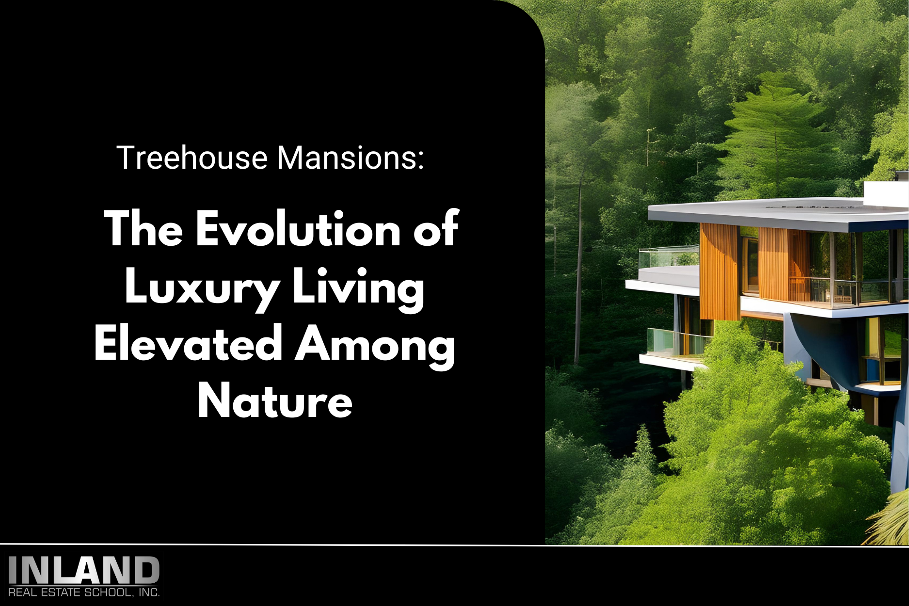 Treehouse Mansions: The Evolution of Luxury Living Elevated Among Nature