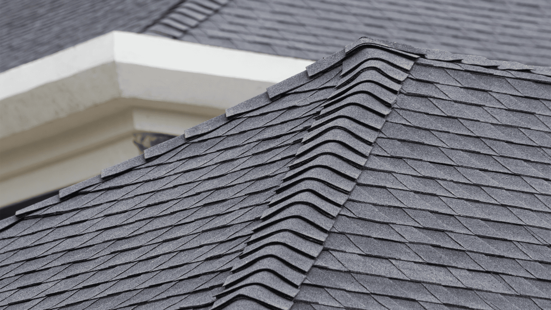Storm Nation WNC | restoration in Asheville