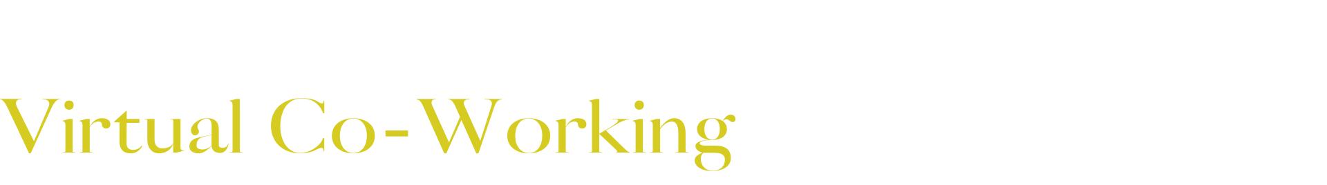 Virtual Co-Working Day