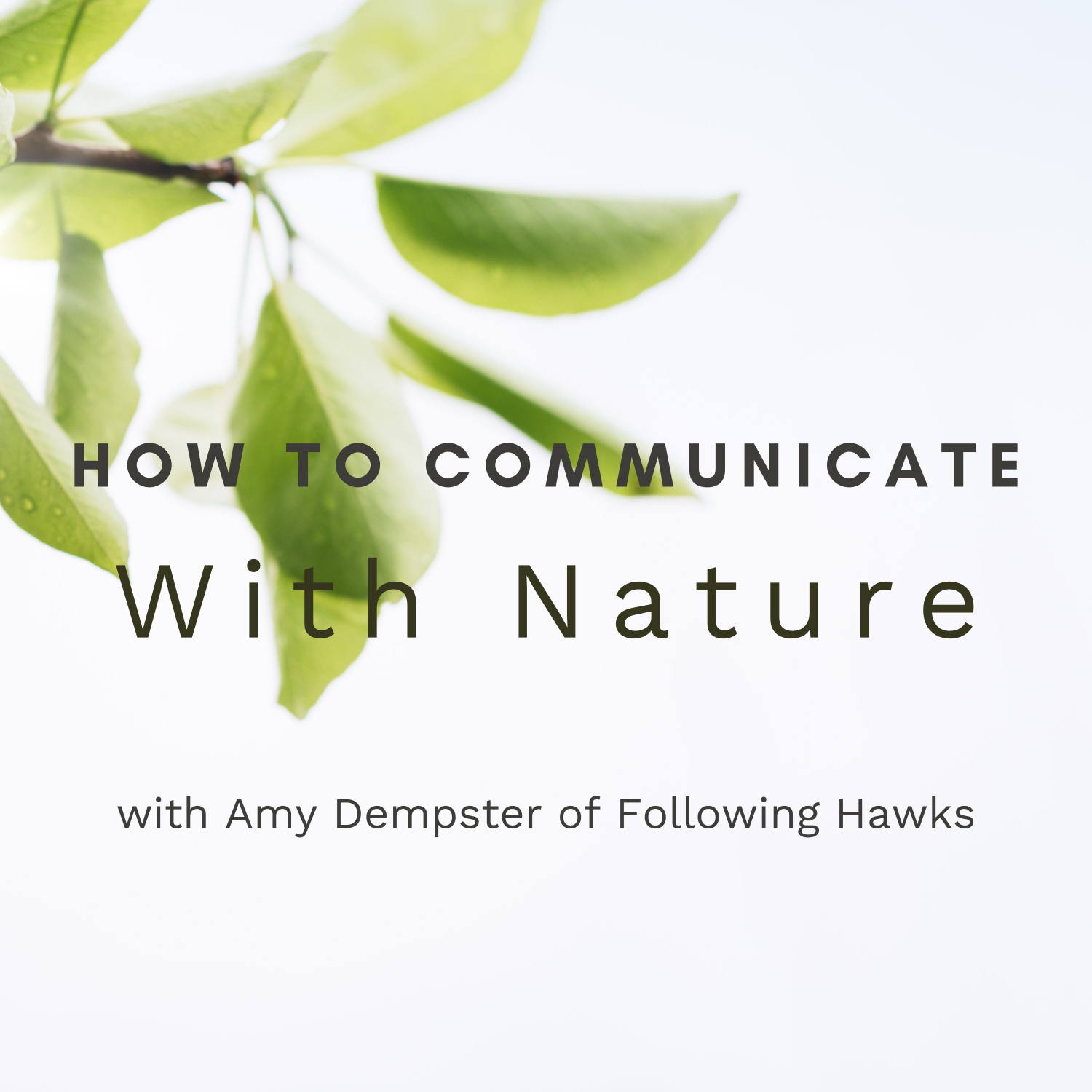 How to Communicate with Nature