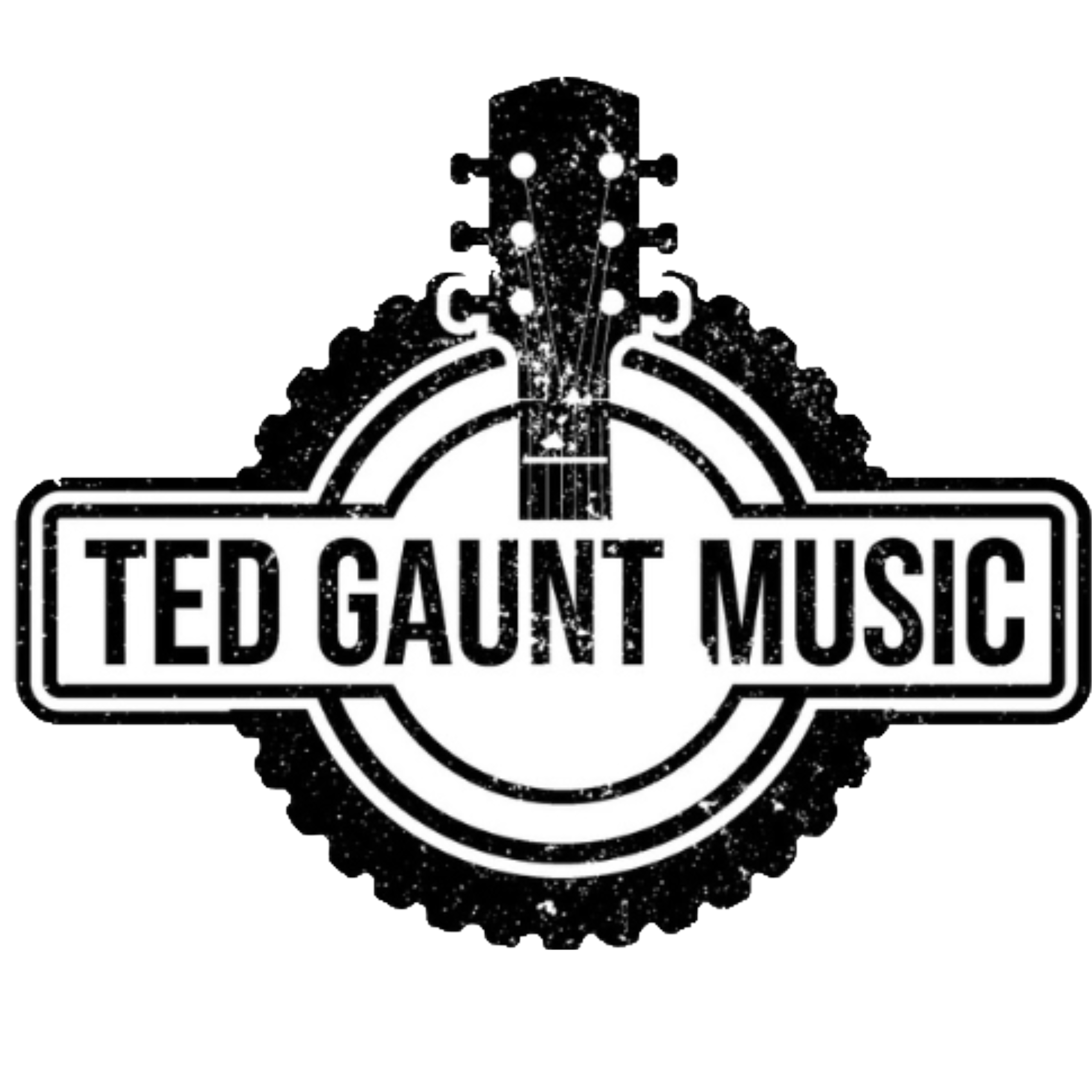 Ted Gaunt Des Moines Iowa Singer Guitarist for hire