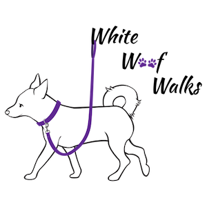 About | Certified Dog Training