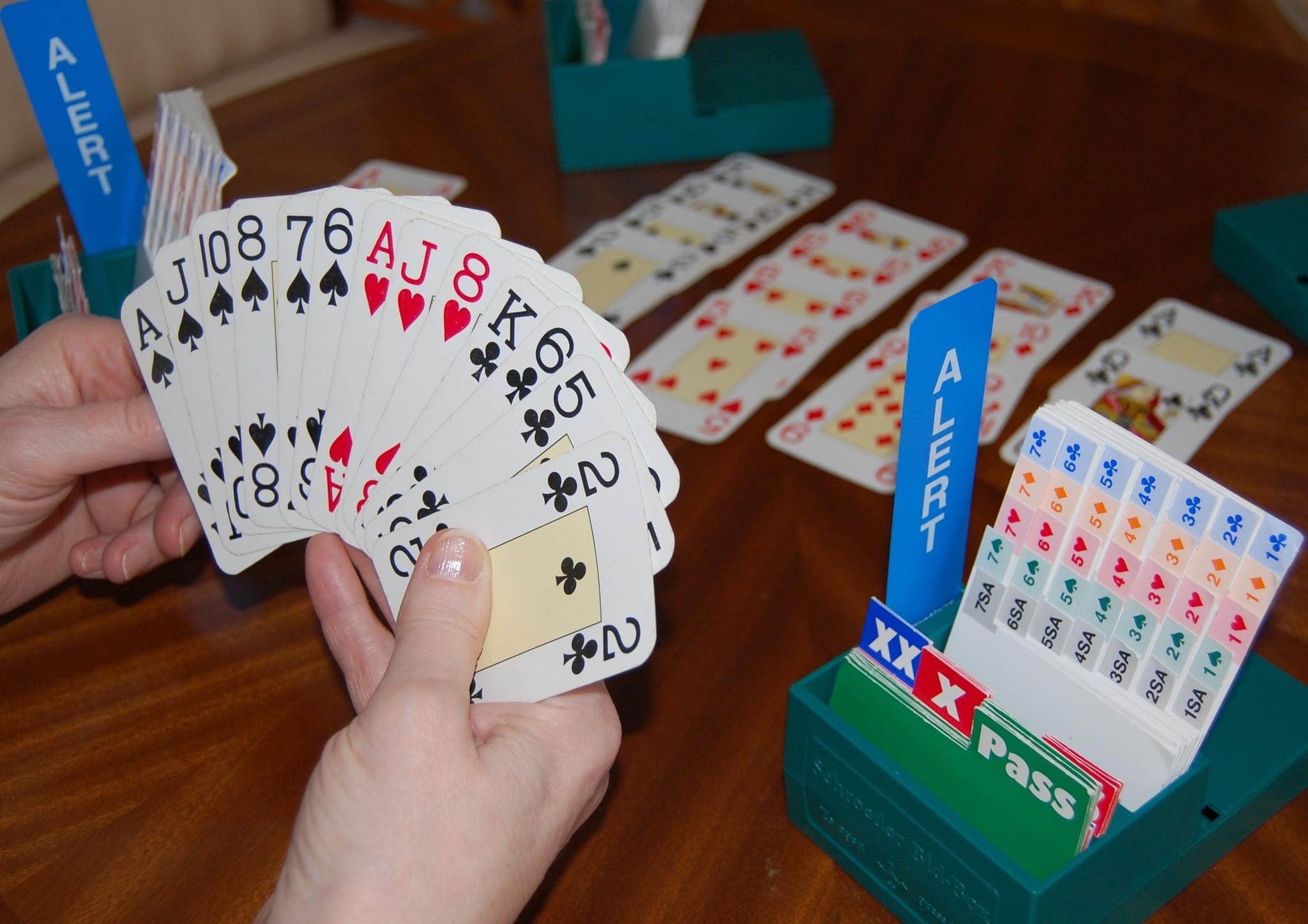 What is Bridge? A Beginner's Guide to the Classic Card Game