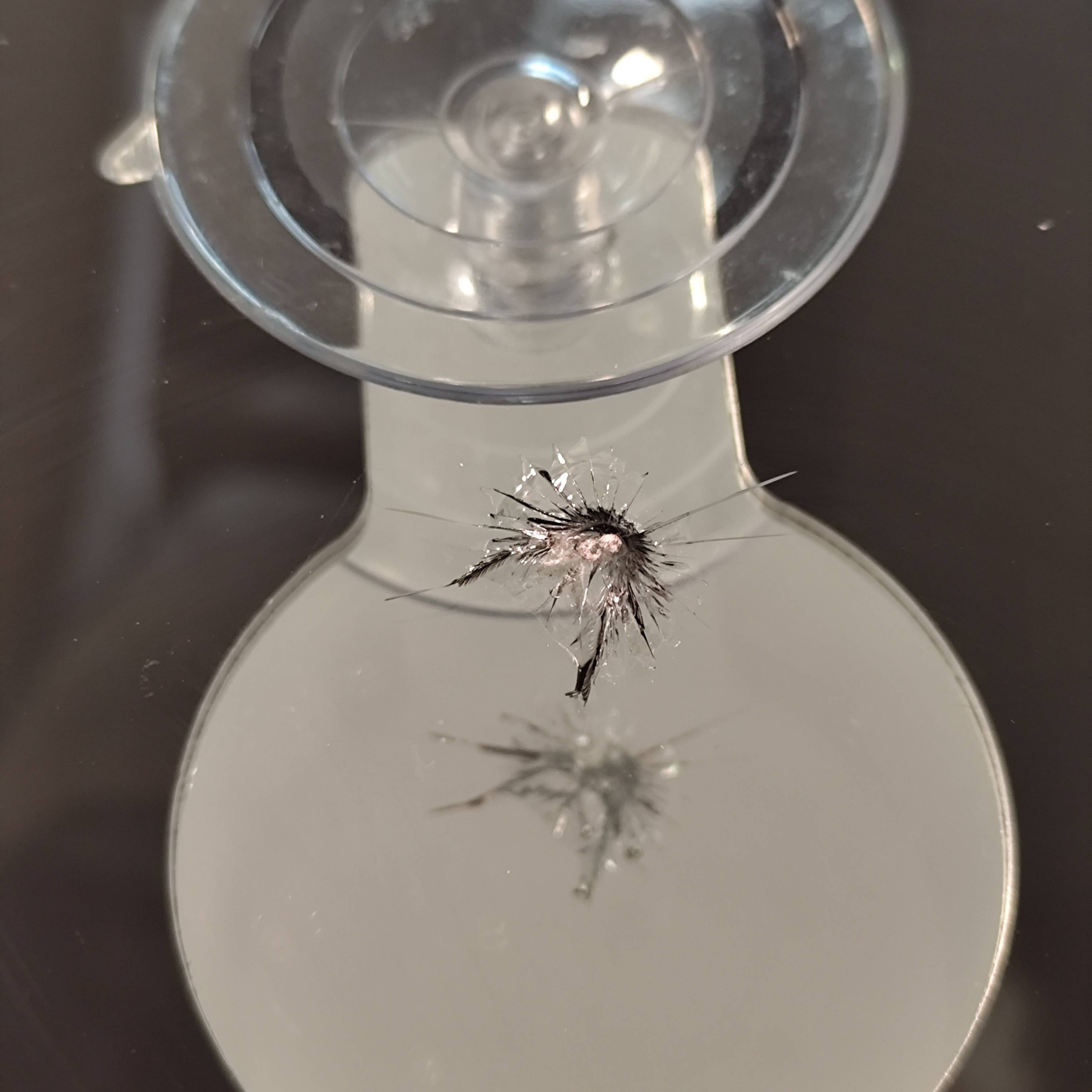 How Does Windscreen Chip Repair Work?