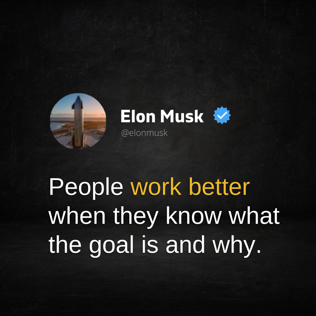 Web Dynamics Reviews