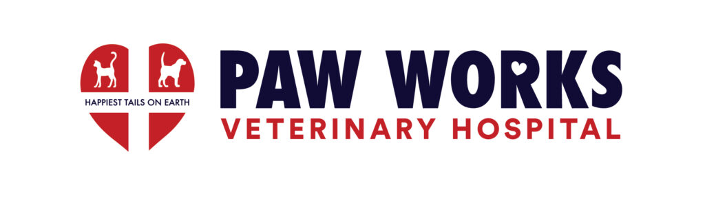 Affordable Vet Services - Thousand Oaks | Paw Works VetHospital