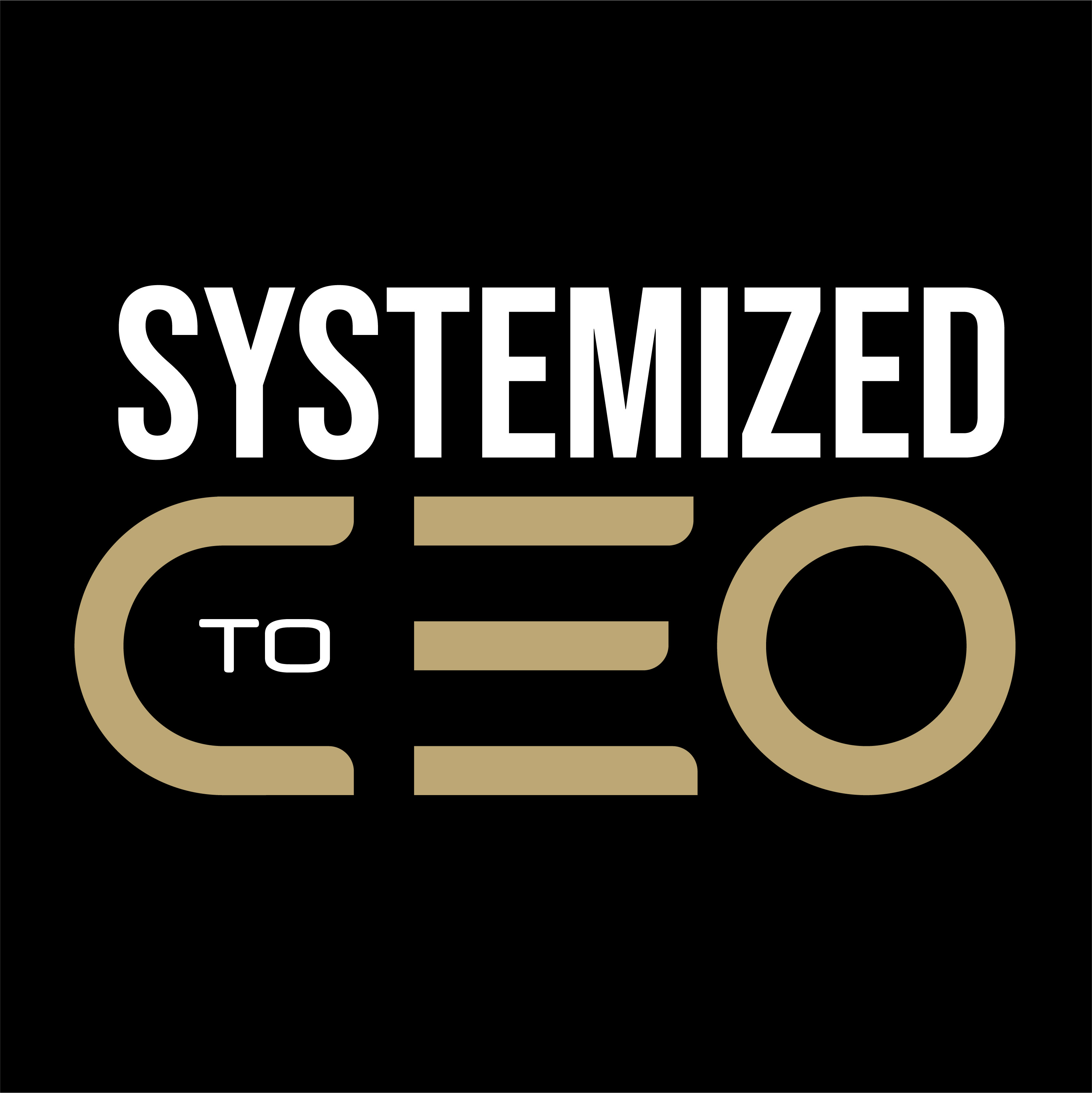 Systemized to CEO