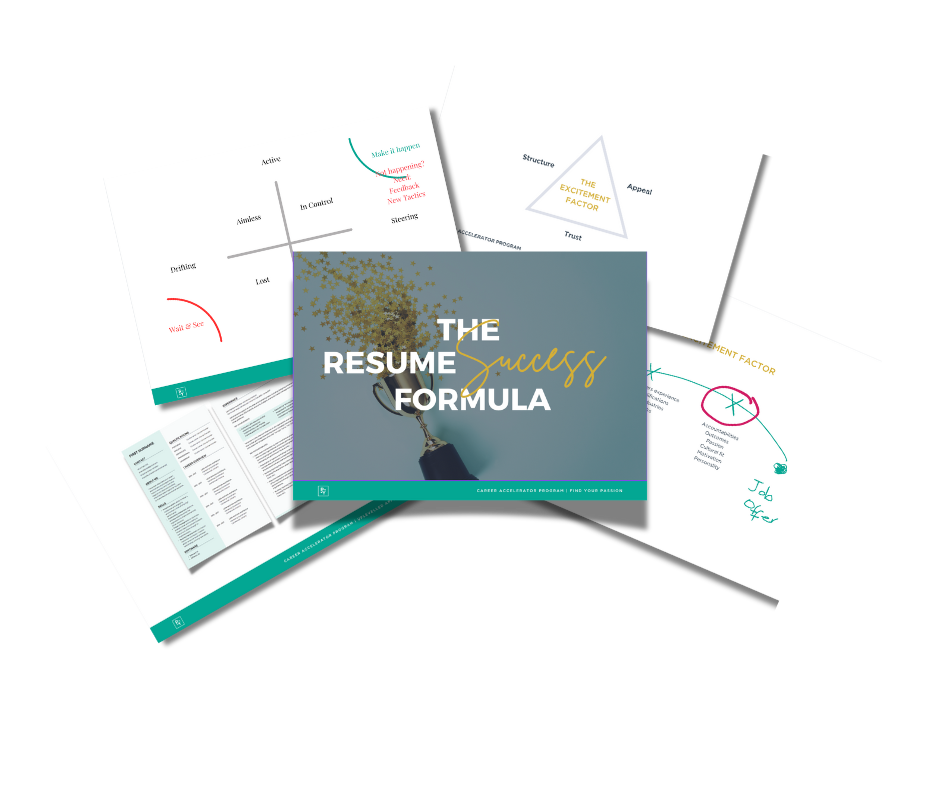 THE RESUME SUCCESS FORMULA