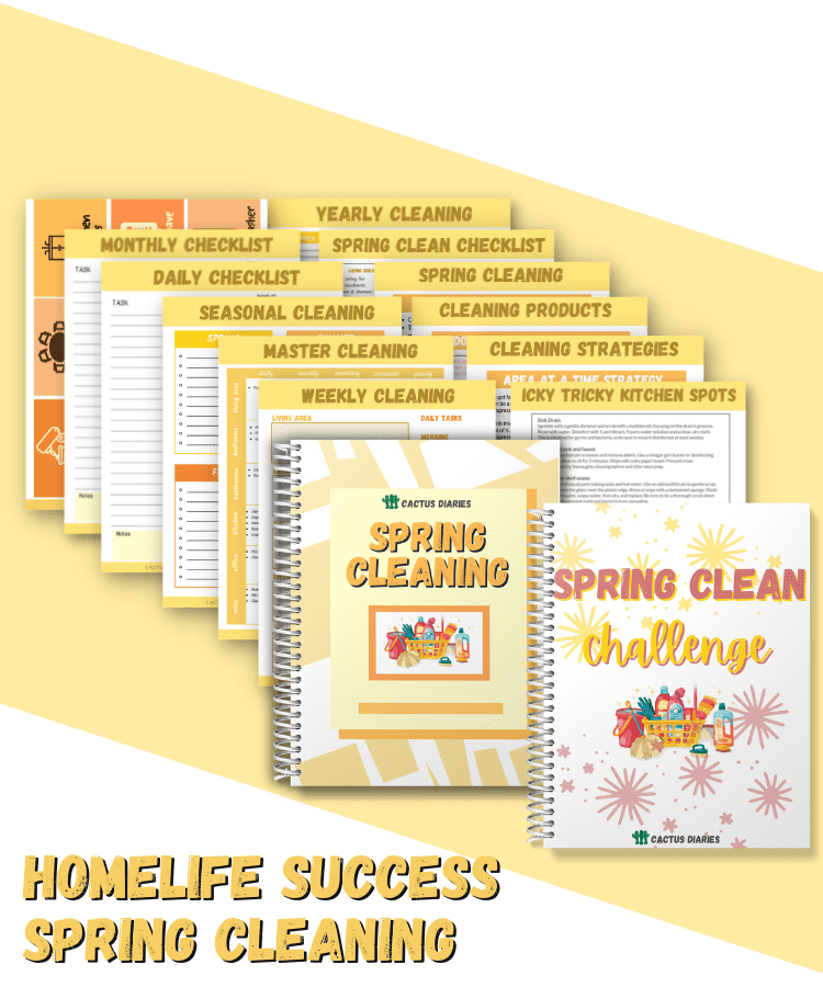 Homelife Success Spring Cleaning