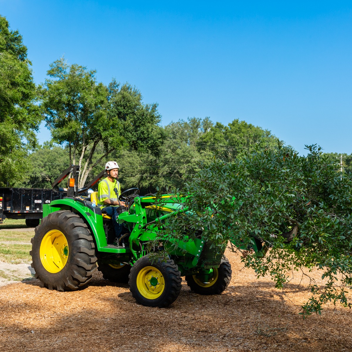 Emergency Tree Services in Greater Gainesville, FL