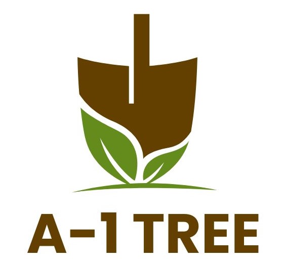 Tree Arborist in Sturgis SD | 605-659-7113