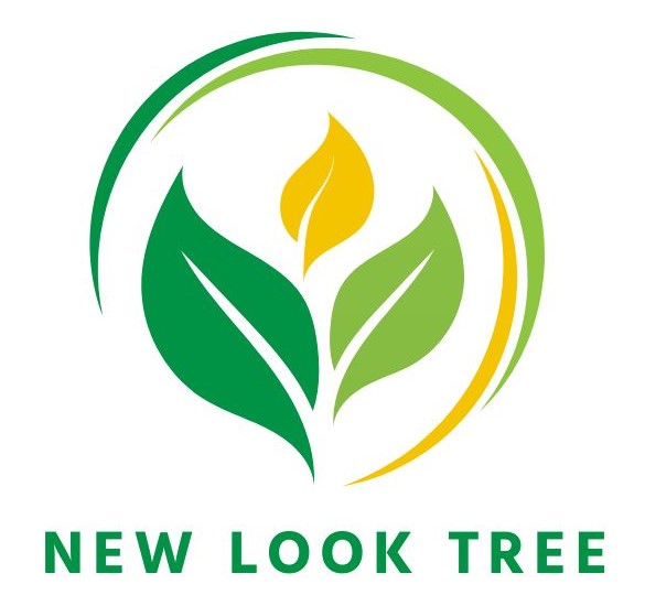 Tree Arborist in Hot Springs SD | 605-205-8434