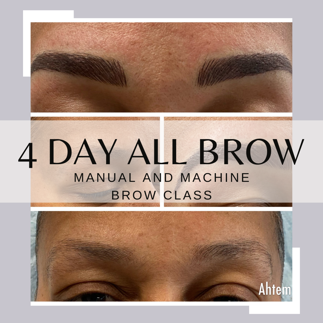 4 Day All Brow Class