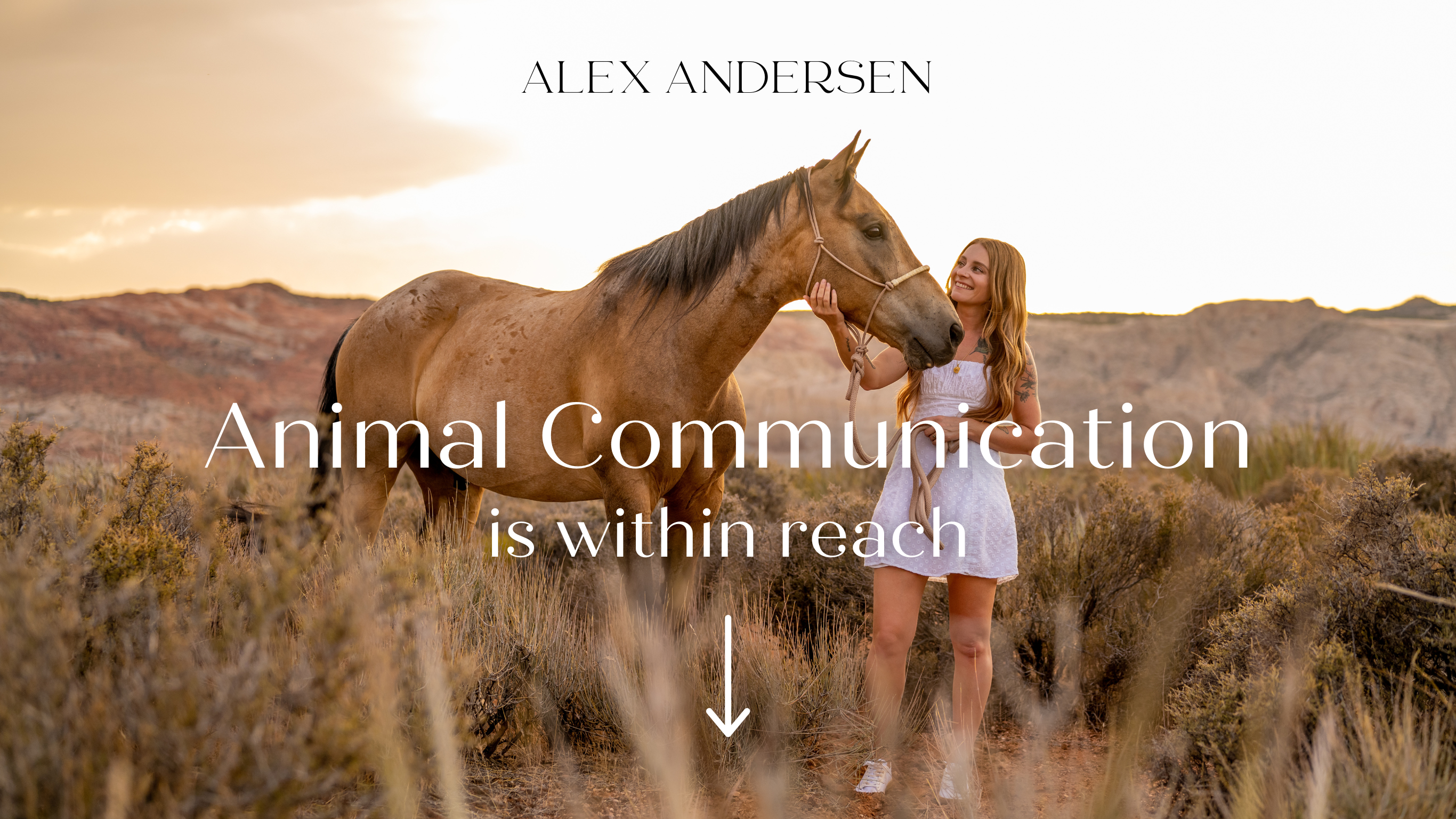 Animal Communication for Beginners