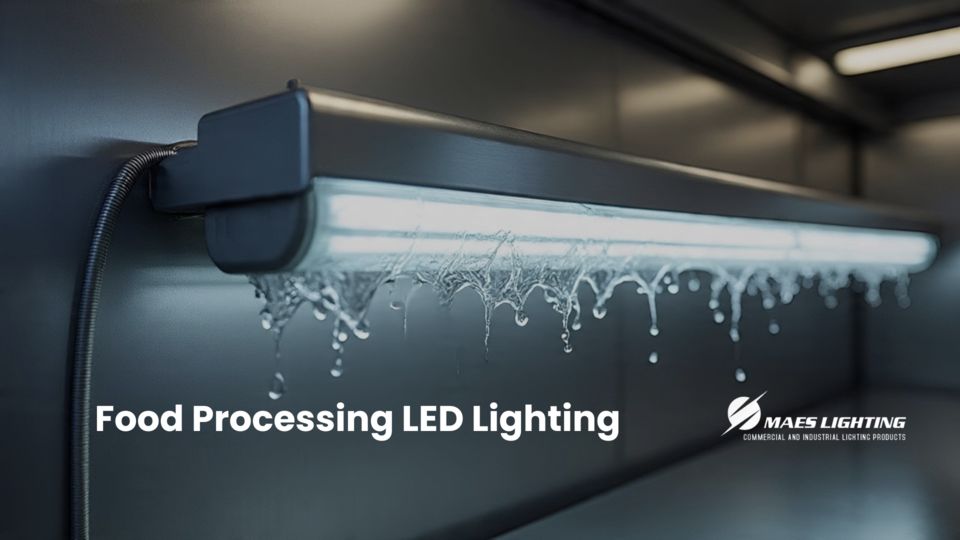 Food Processing LED Lighting, NSF & IP69K Washdown Fixtures