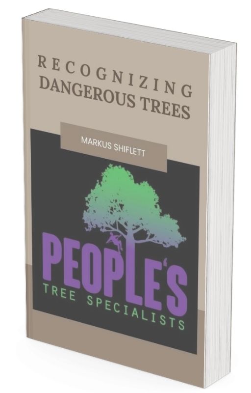 Recognizing Dangerous Trees