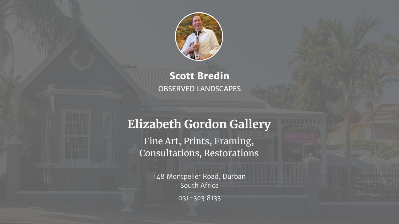 Artist Scott Bredin | Paintings for Sale in Durban