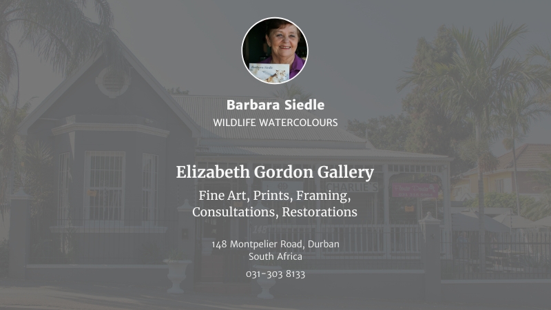 Artist Barbara Siedle | Paintings for Sale in Durban