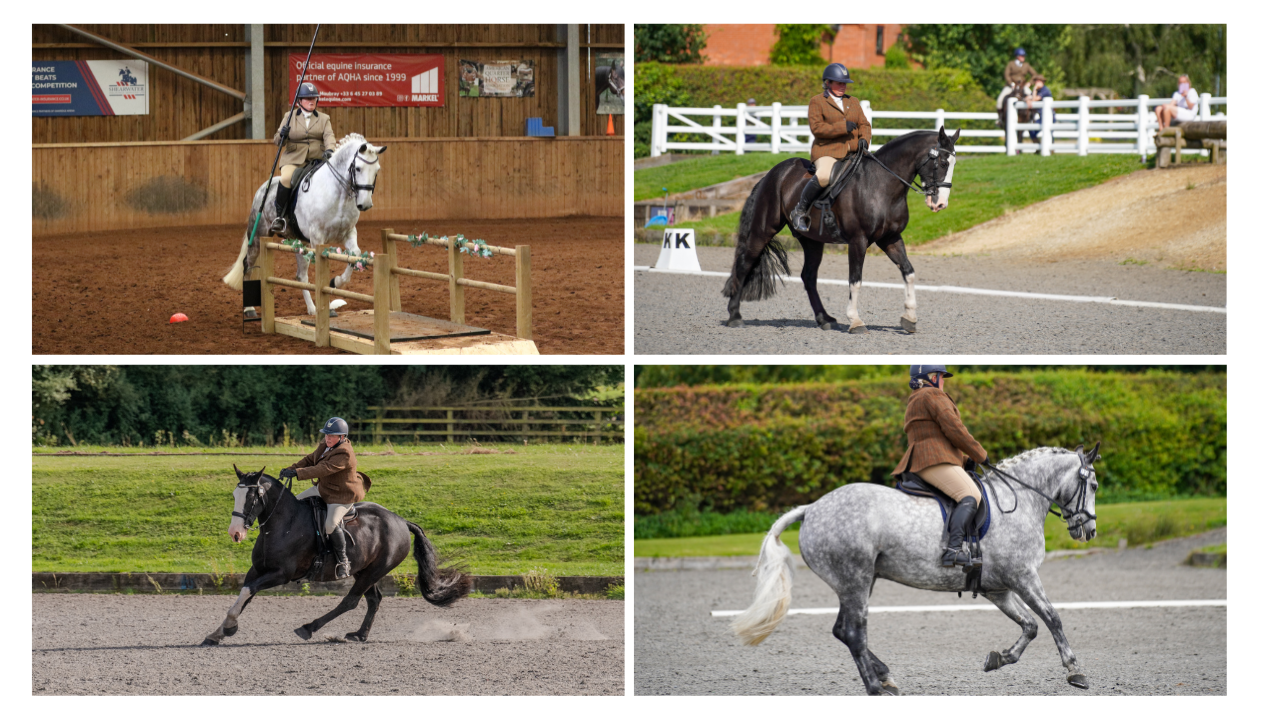 Working Equitation Obstacles training videos
